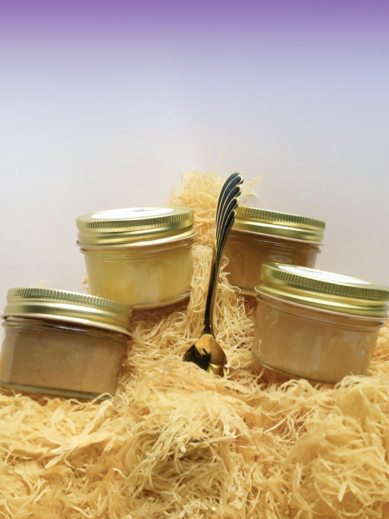 Guide To Sea Moss Gel: What Is Sea Moss Gel?, Nutrition Benefits, and
